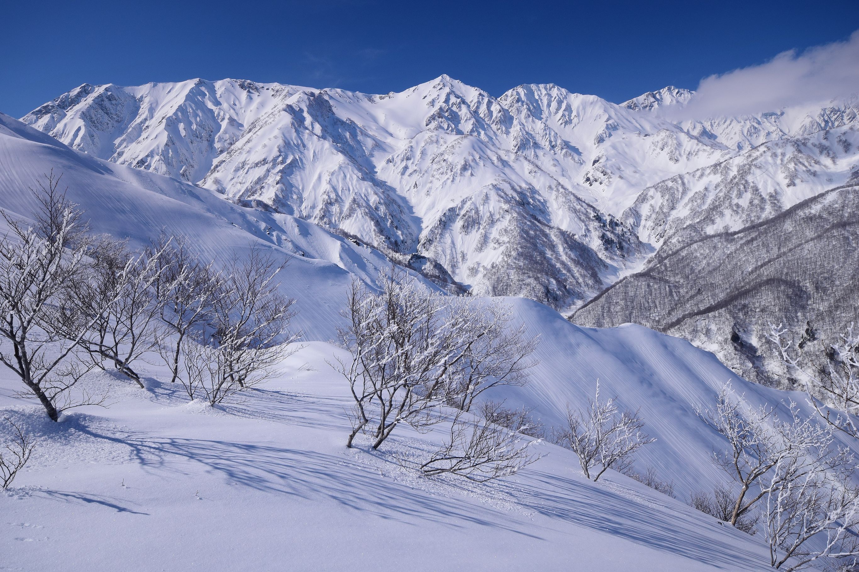 The 10 best ski resorts in Japan | Montec Magazine